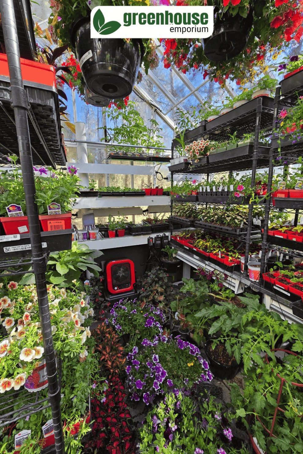 Small Greenhouse - How To Maximize Your Space | Greenhouse Emporium