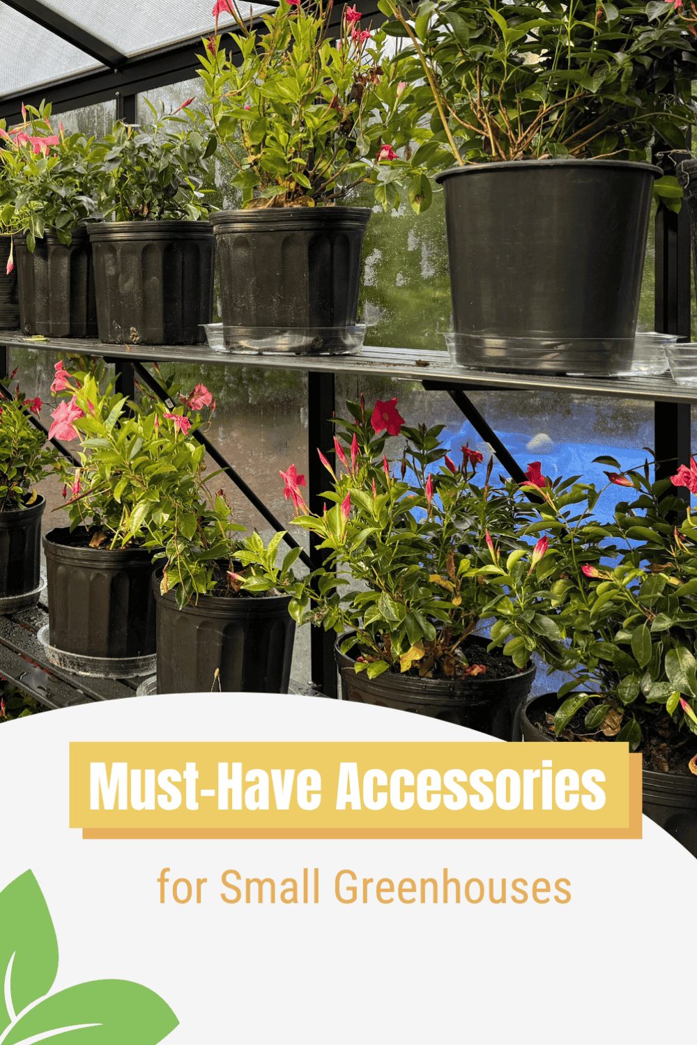 Small Greenhouse - How To Maximize Your Space | Greenhouse Emporium