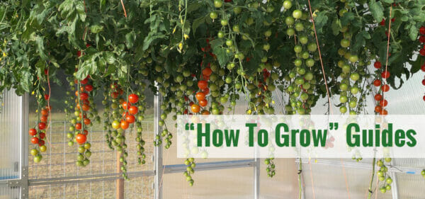How To Grow Guides | Greenhouse Emporium