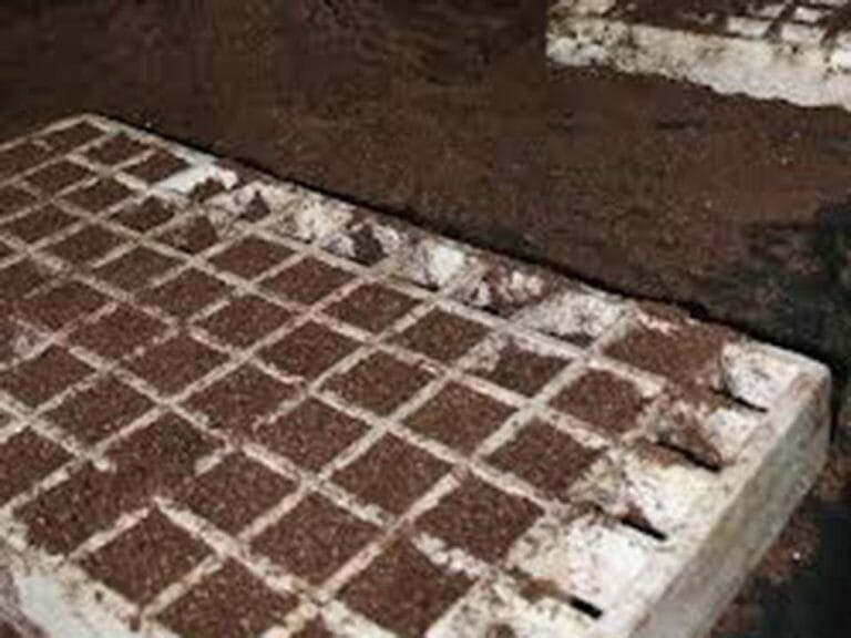 RSI Hydroponic Floating Seeding Tray | Greenhouse Emporium