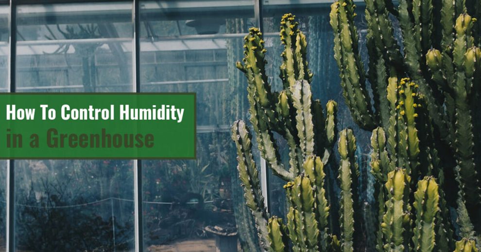 How To Control Humidity In A Greenhouse | Greenhouse Emporium