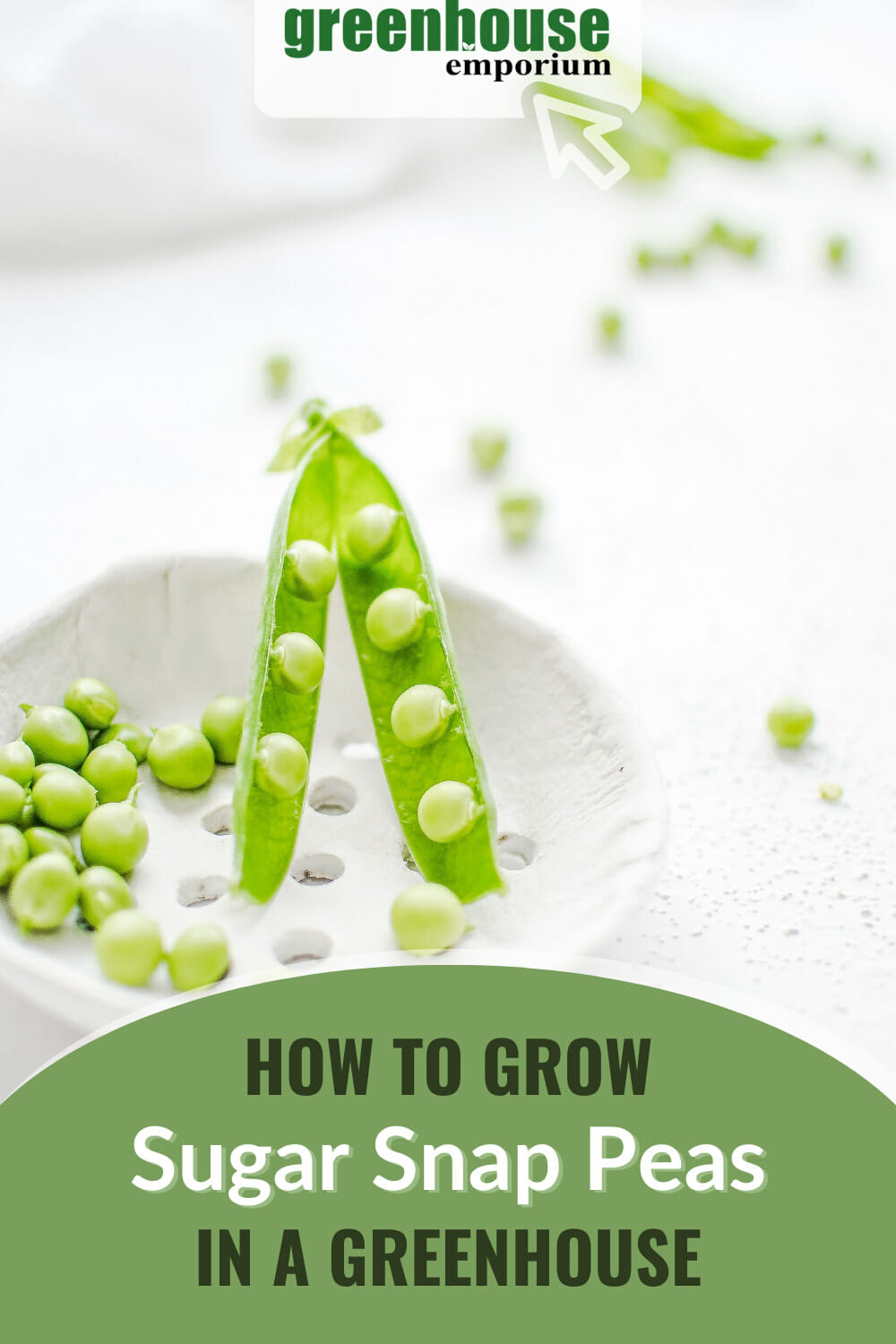 How To Grow Peas In A Greenhouse at Emily Jenkins blog