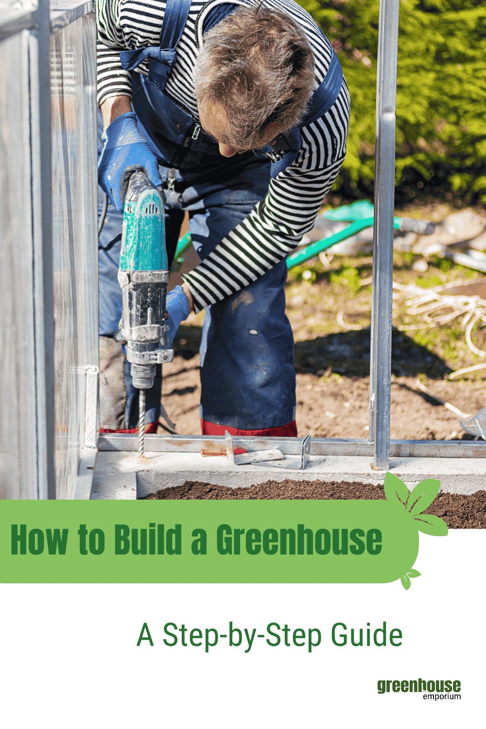 How To Build A Greenhouse: Everything You Need To Know