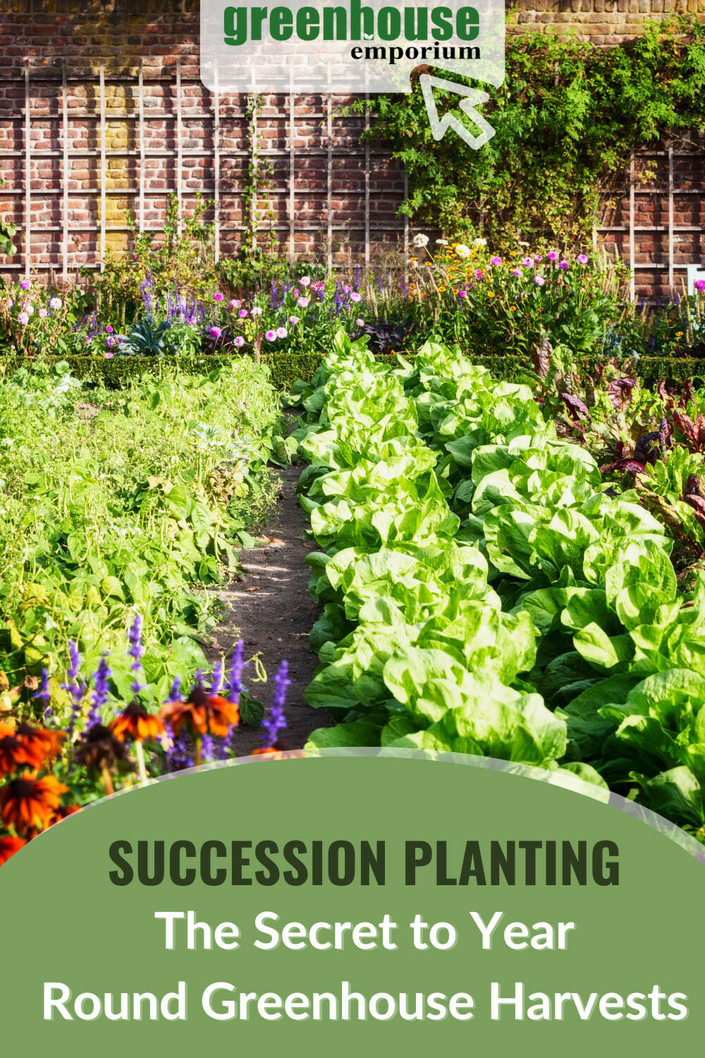 Maximize Your Greenhouse Garden: A Succession Planting Guide