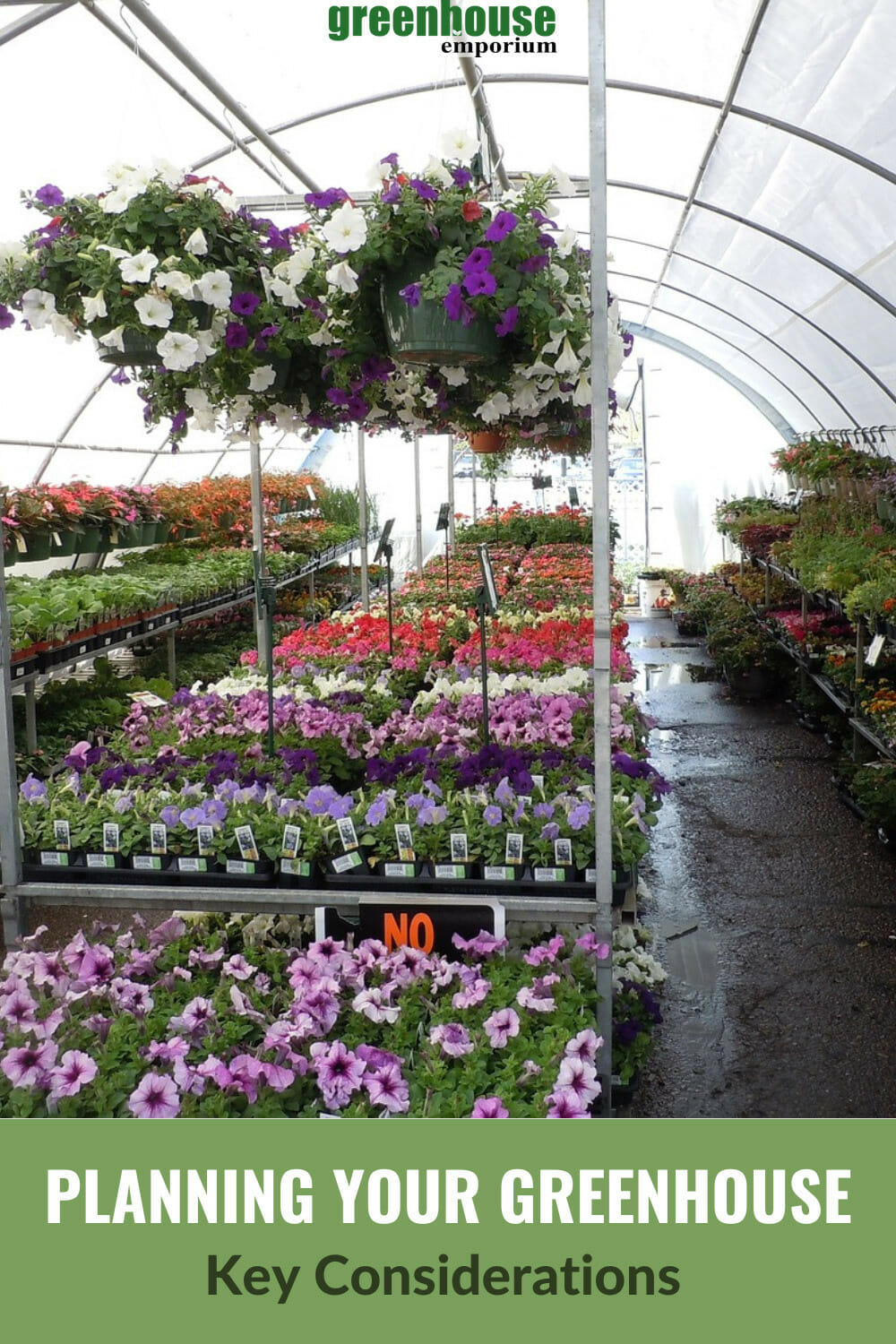 Best Greenhouse Layout: Organize Your Greenhouse