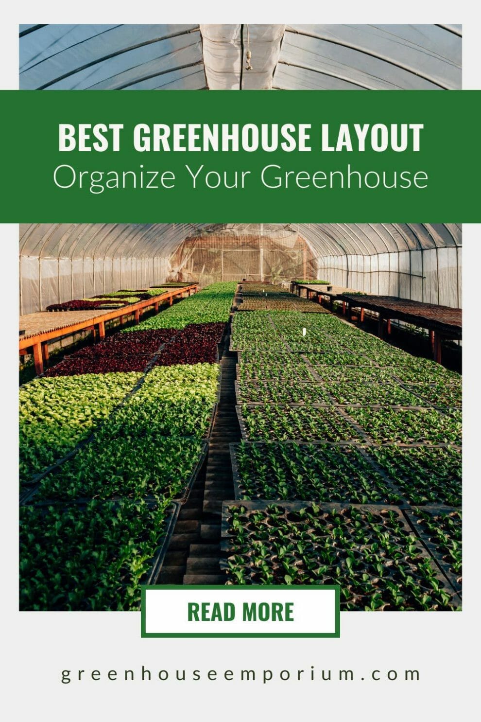 Best Greenhouse Layout: Organize Your Greenhouse