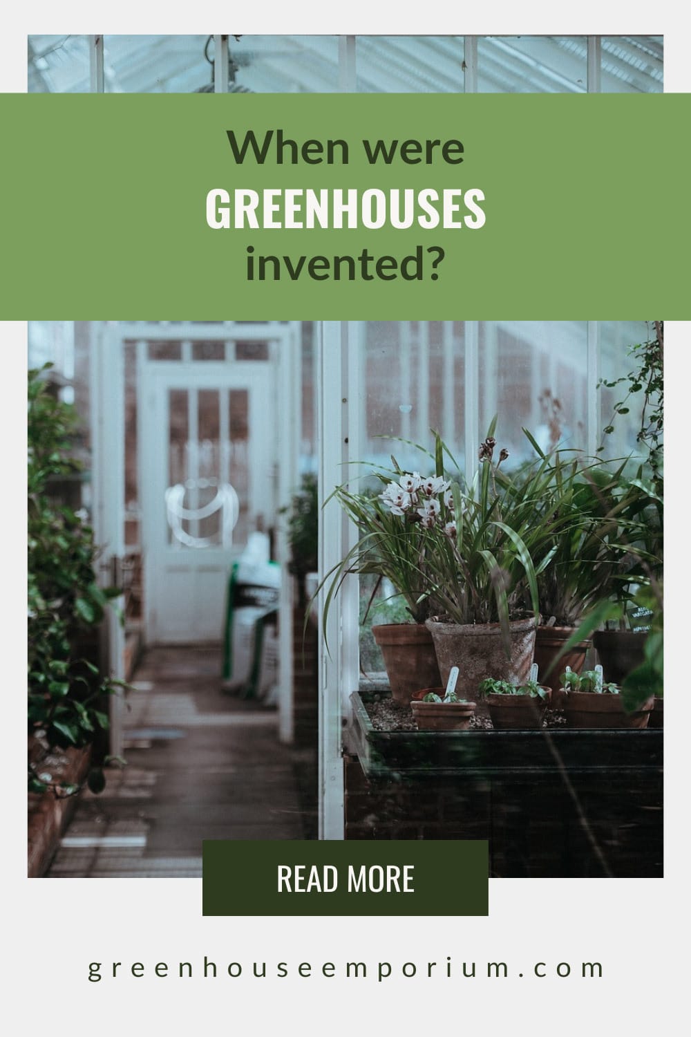 When Were Greenhouses Invented: Horticultural History!