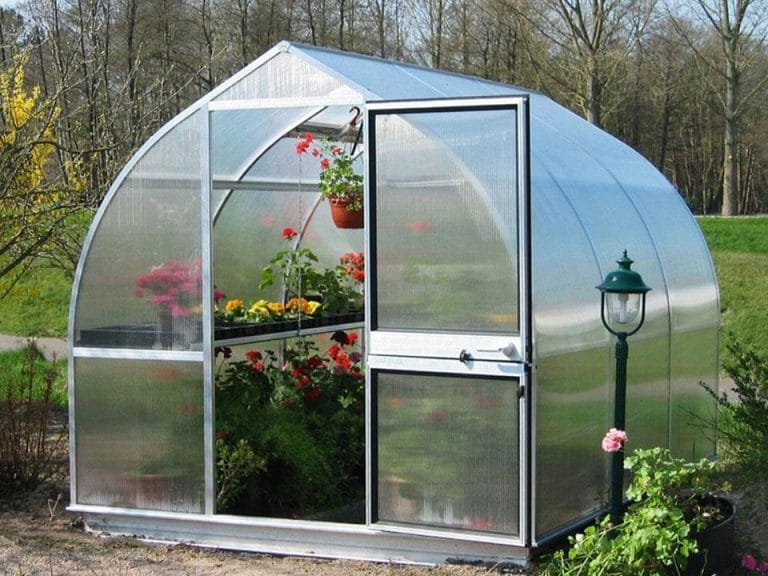 Best Small Greenhouse: Gardening In Tiny Spaces!