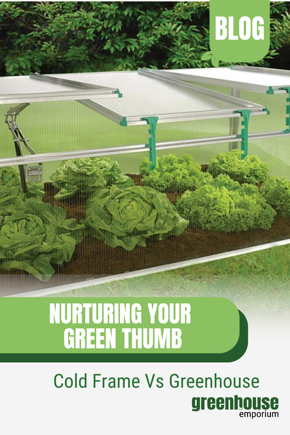 Cold Frame Vs Greenhouse (A Gardening Guide)