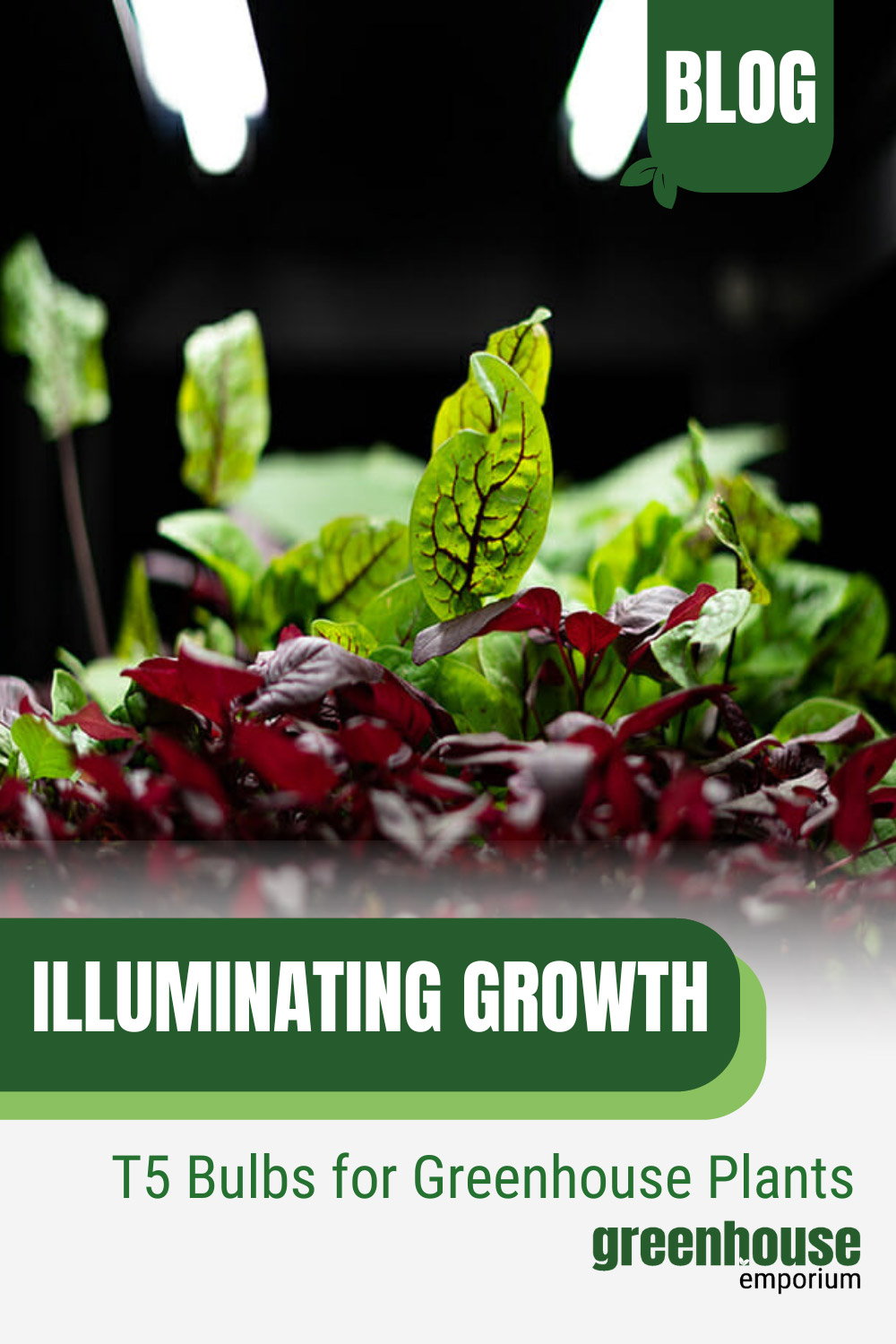 Do T5 Bulbs Work Well For Growing Plants? | Greenhouse Emporium