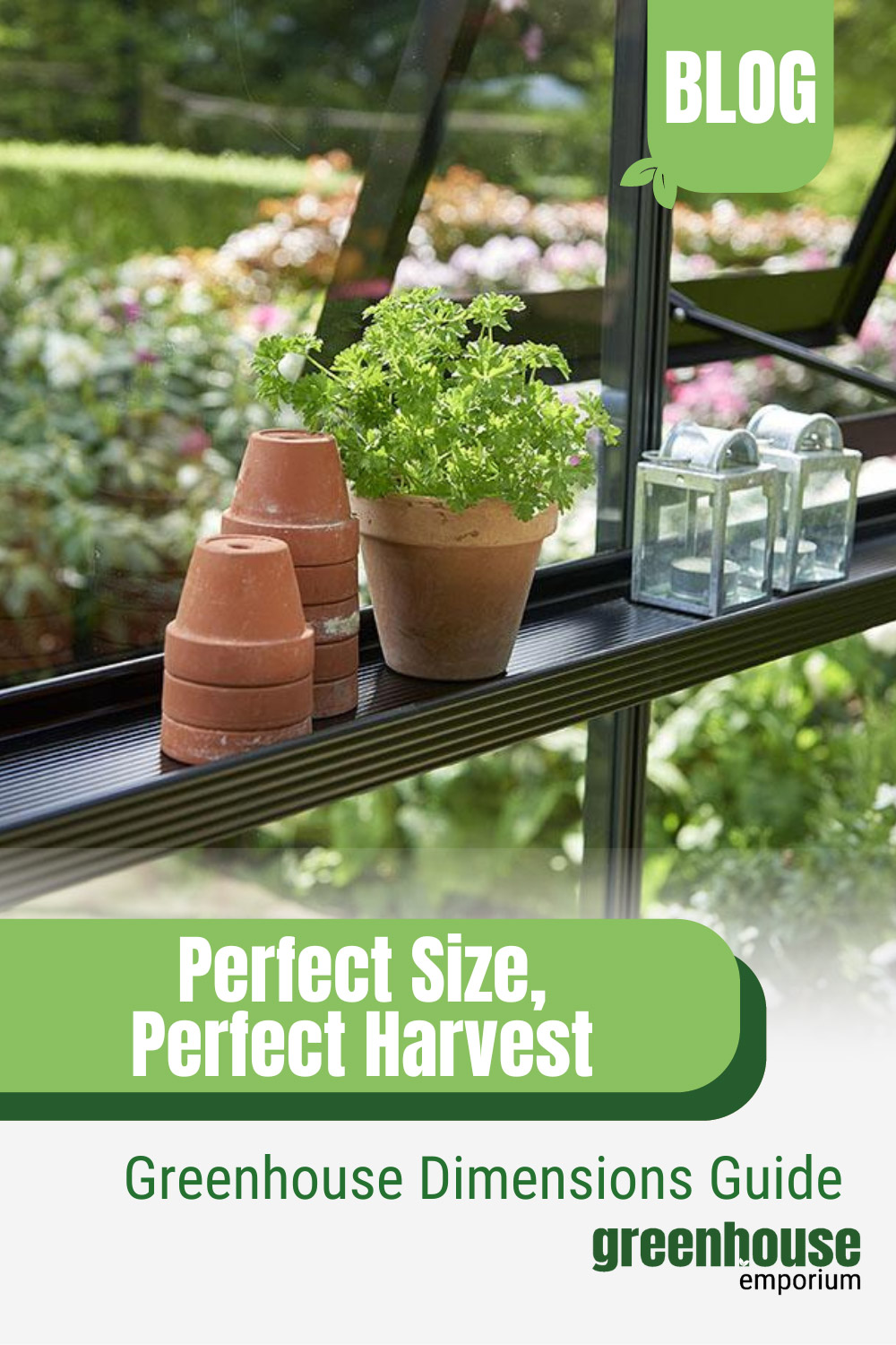 Greenhouse Dimensions (Guide & Tips) | Greenhouse Emporium