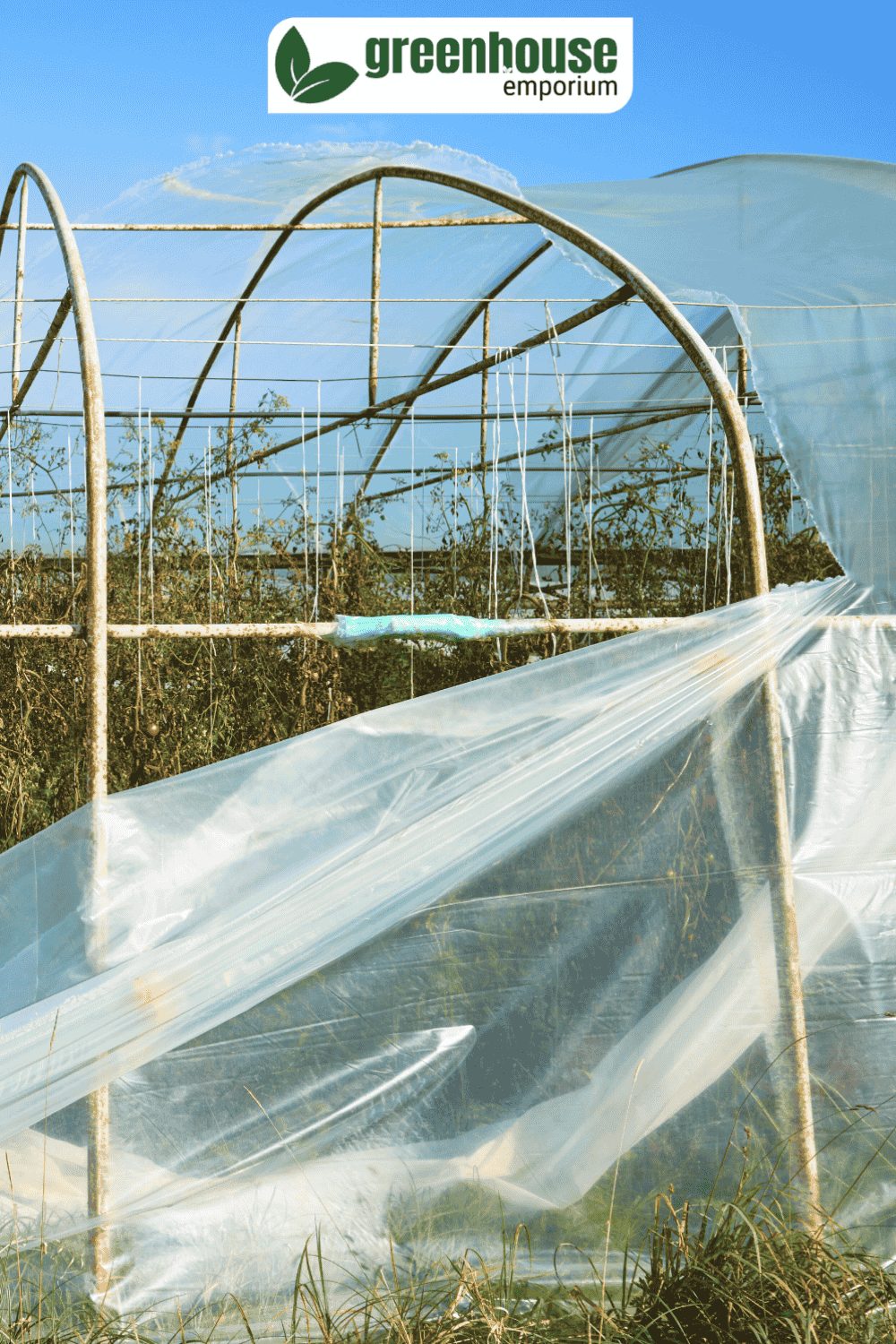 How To Secure A Greenhouse From Wind: Expert Tips