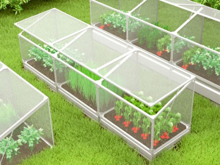 How To Use A Mini Greenhouse For Beginners: Ultimate Guide