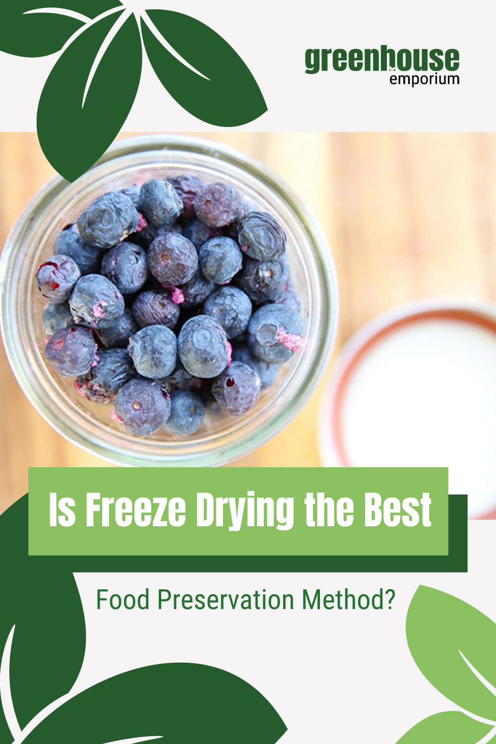 Is Freeze-Drying The Best Food Preservation Method?
