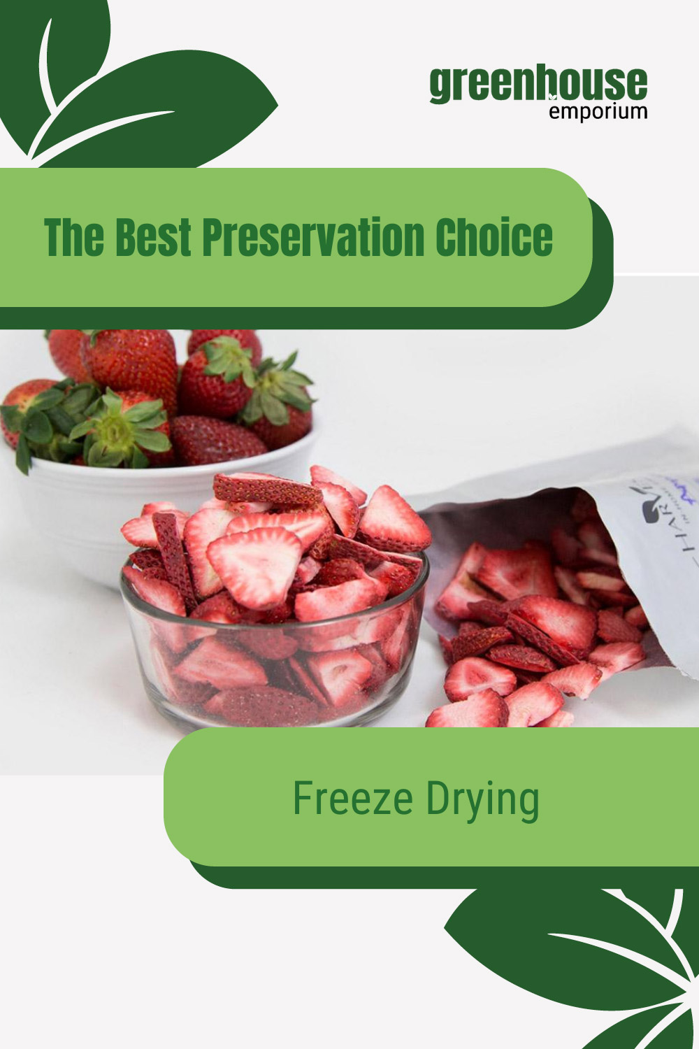 Is Freeze-Drying The Best Food Preservation Method?