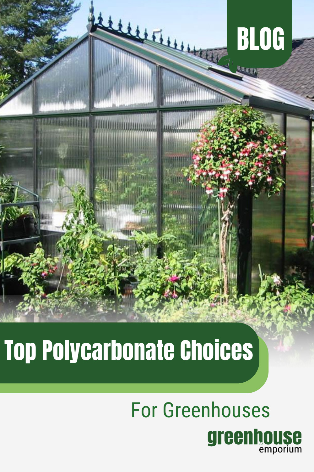 Best Polycarbonate For Greenhouse: Ultimate Growth Secrets!