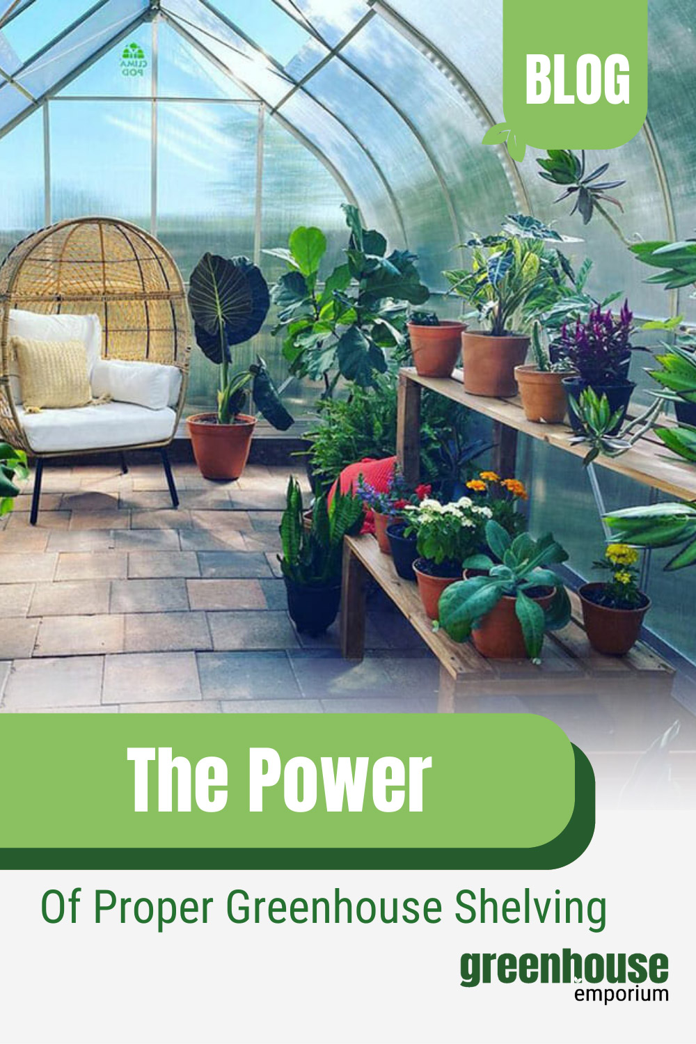 Best Greenhouse Layout: Organize Your Greenhouse
