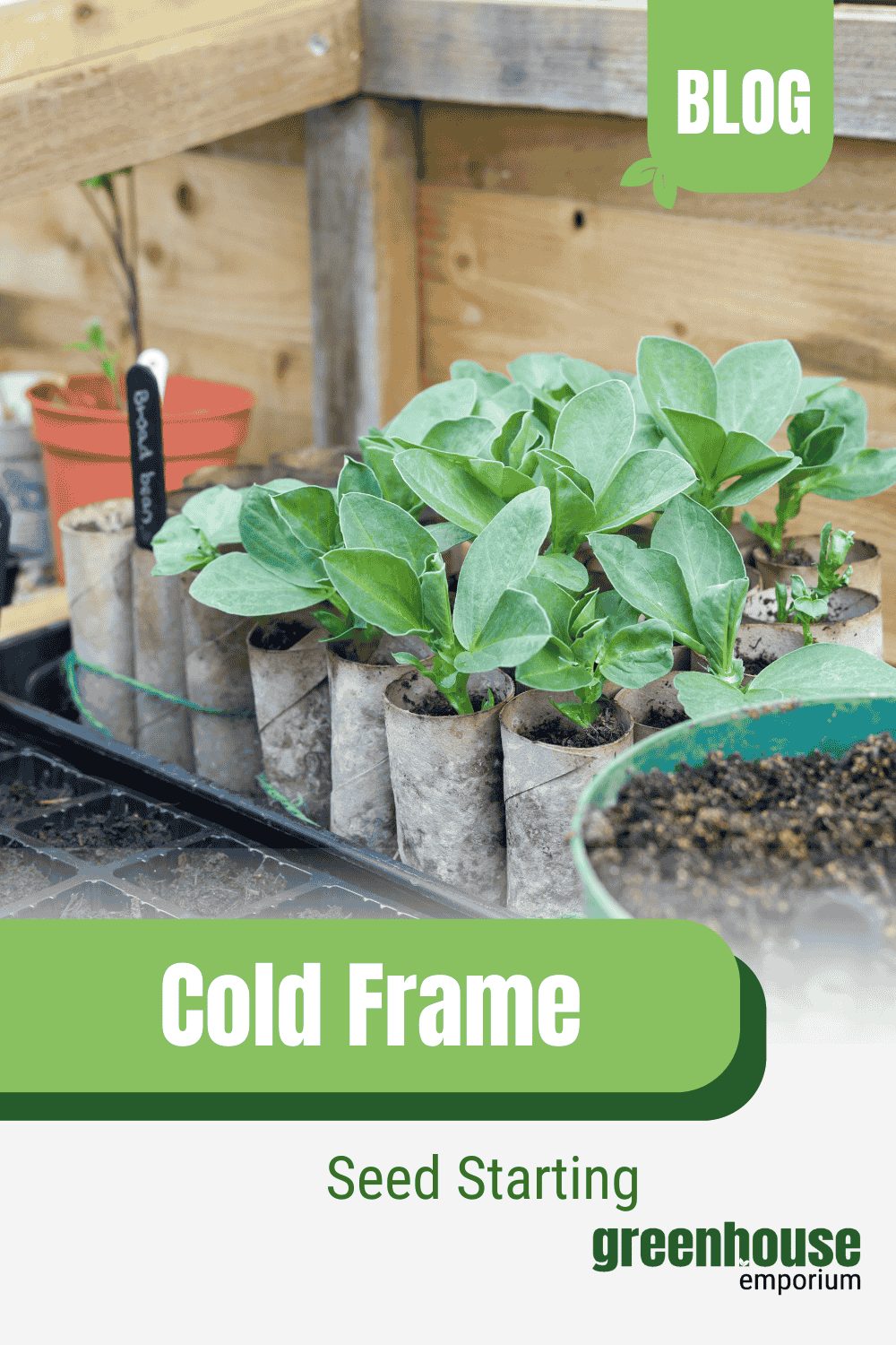 Cold Frame Seed Starting: Jump-Start Your Garden