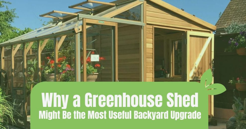 Purpose Of A Greenhouse: Ultimate Gardening Secrets!