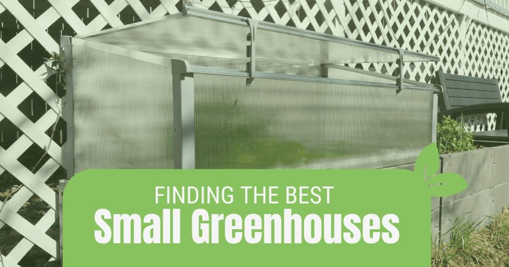 Best Small Greenhouse: Gardening In Tiny Spaces!